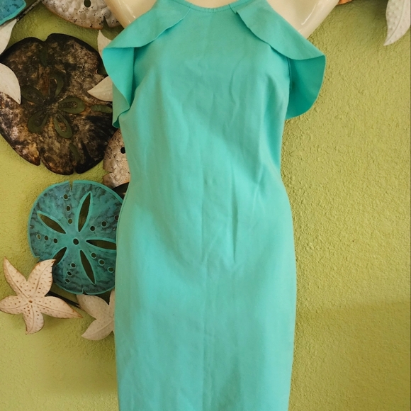 bar 111 | Dresses | Bar 11 Fitted Sexy Dress | Poshmark